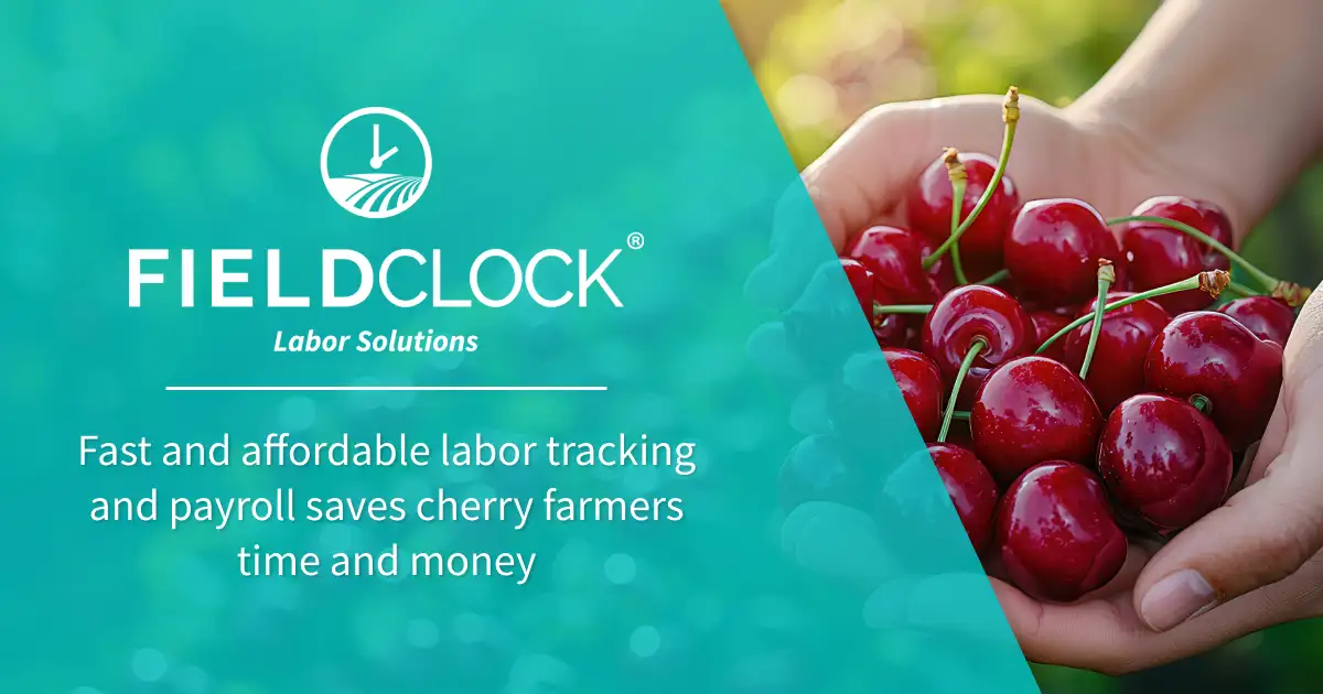 FieldClock - Manage your cherry farm labor and harvest more effectively